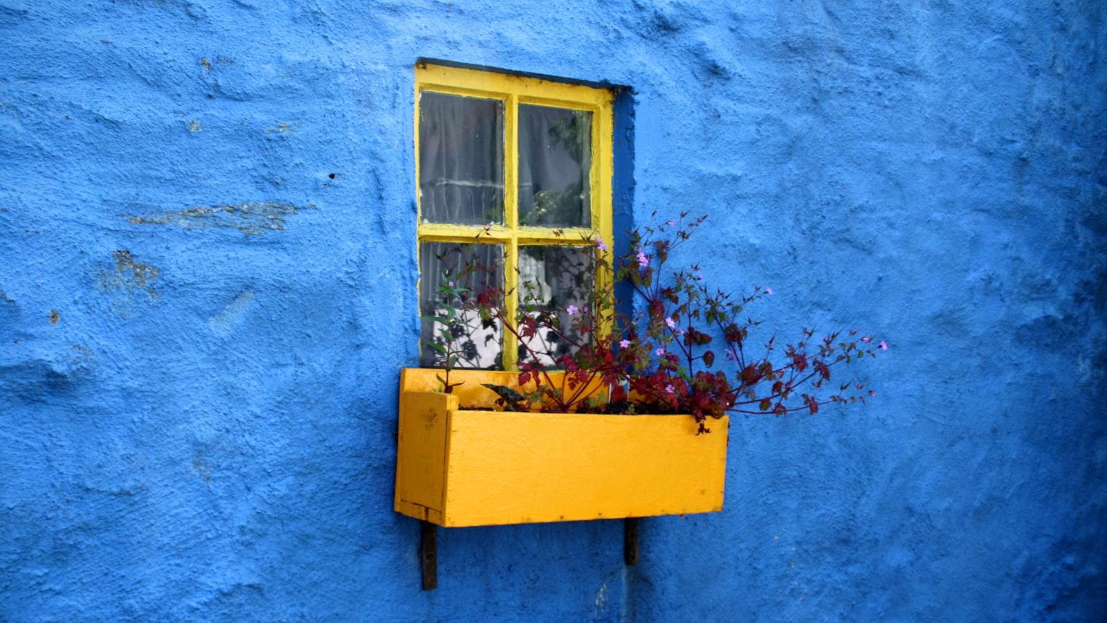 Windows auf dem Raspberry Pi: Möglichkeiten und Anleitungen – windows ...